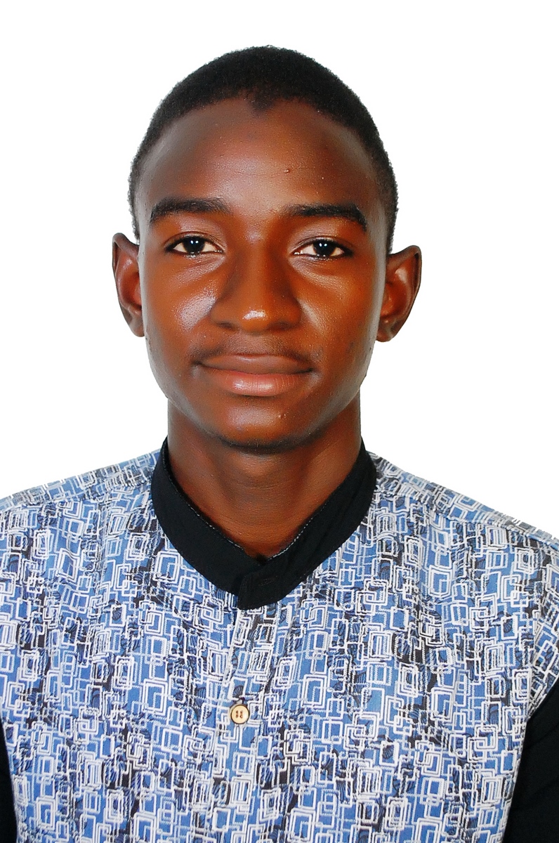 How Great Is Nigeria! By Said Saad Abubakar - PositiveNaija