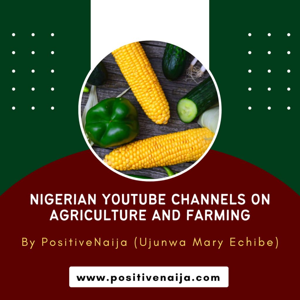 Nigerian YouTube Channels On Agriculture And Farming - PositiveNaija