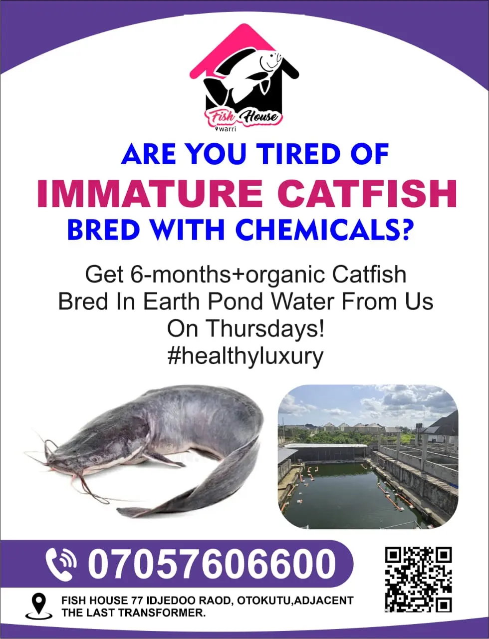 Fish House Organic Catfish Farm in Otokutu, Delta State - PositiveNaija